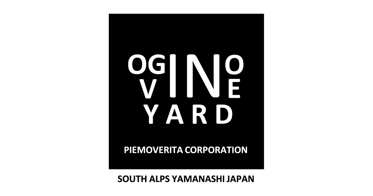 山梨県果樹共進会最優秀賞受賞した信頼のシャインマスカット | OGINO VINEYARD